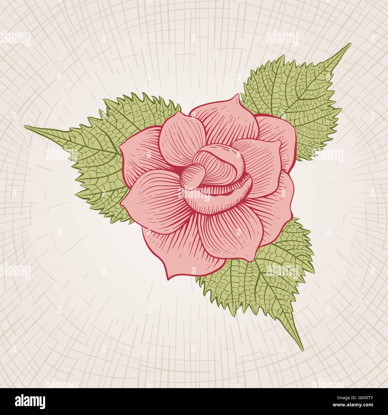 Vector hand drawn rose flower. Global color CMYK Stock Vector Image ...