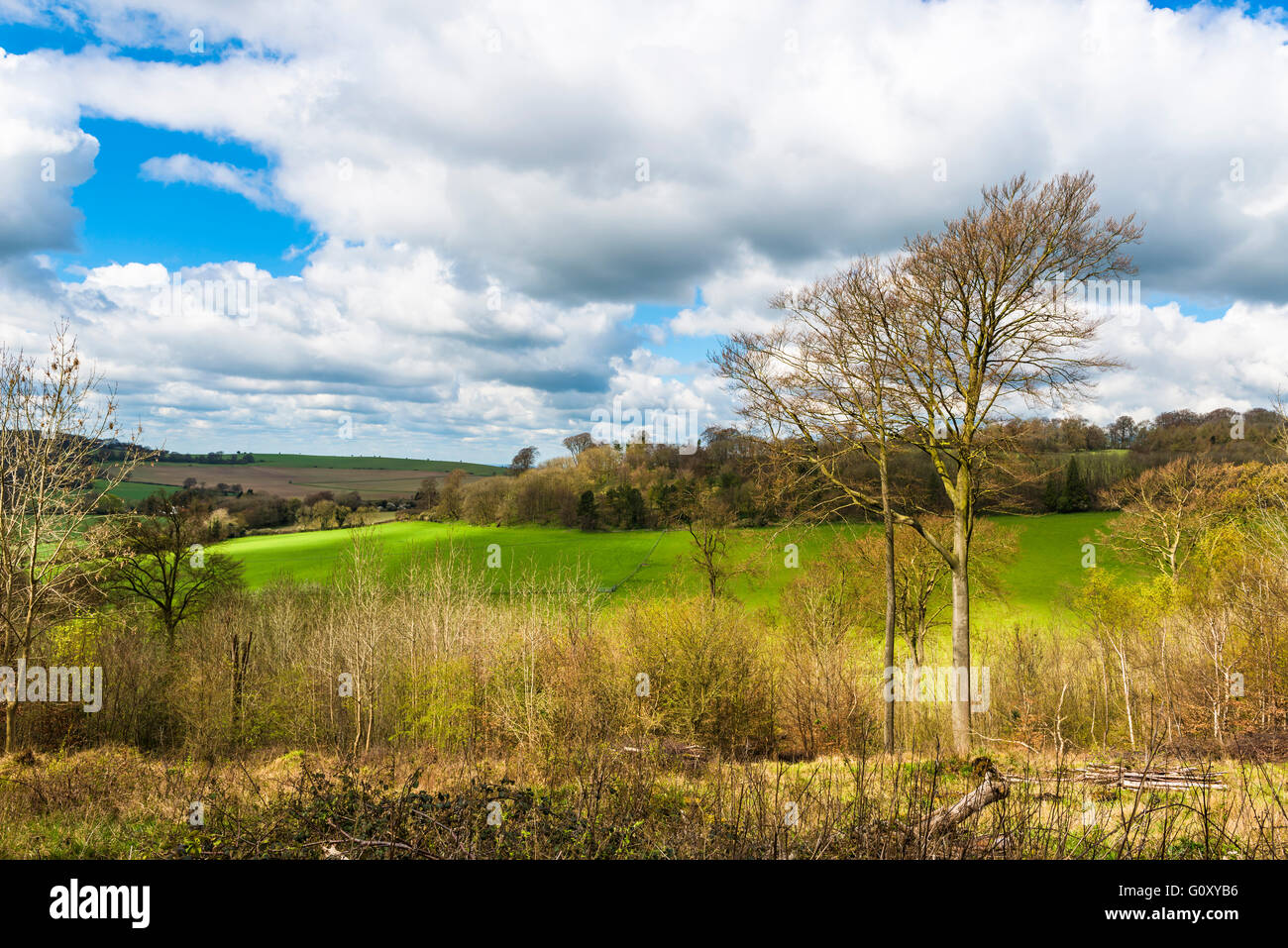 English countryside in the spring Hertfordshire, UK Stock Photo - Alamy
