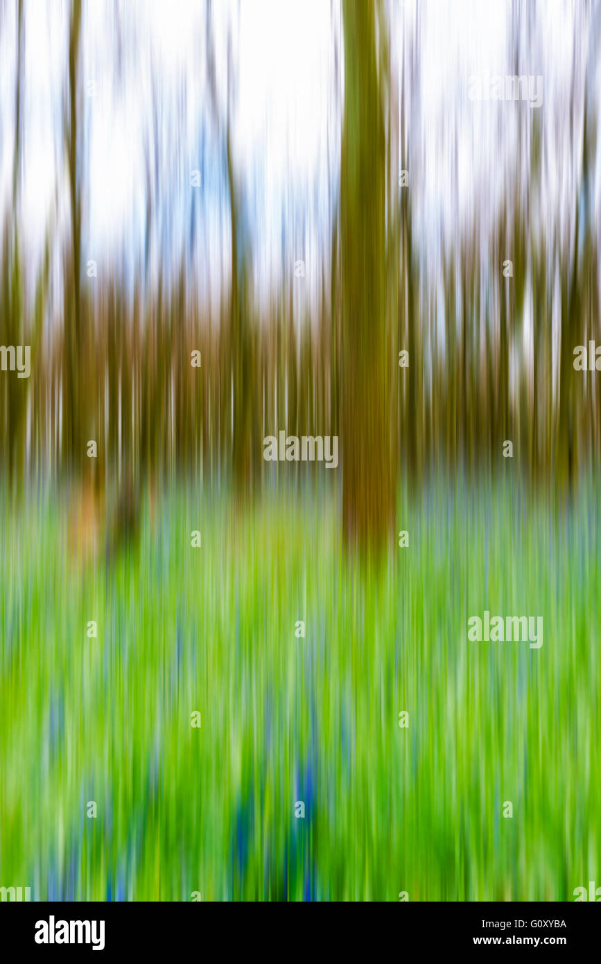 Abstract out of focus landscape of a spring forest Stock Photo - Alamy