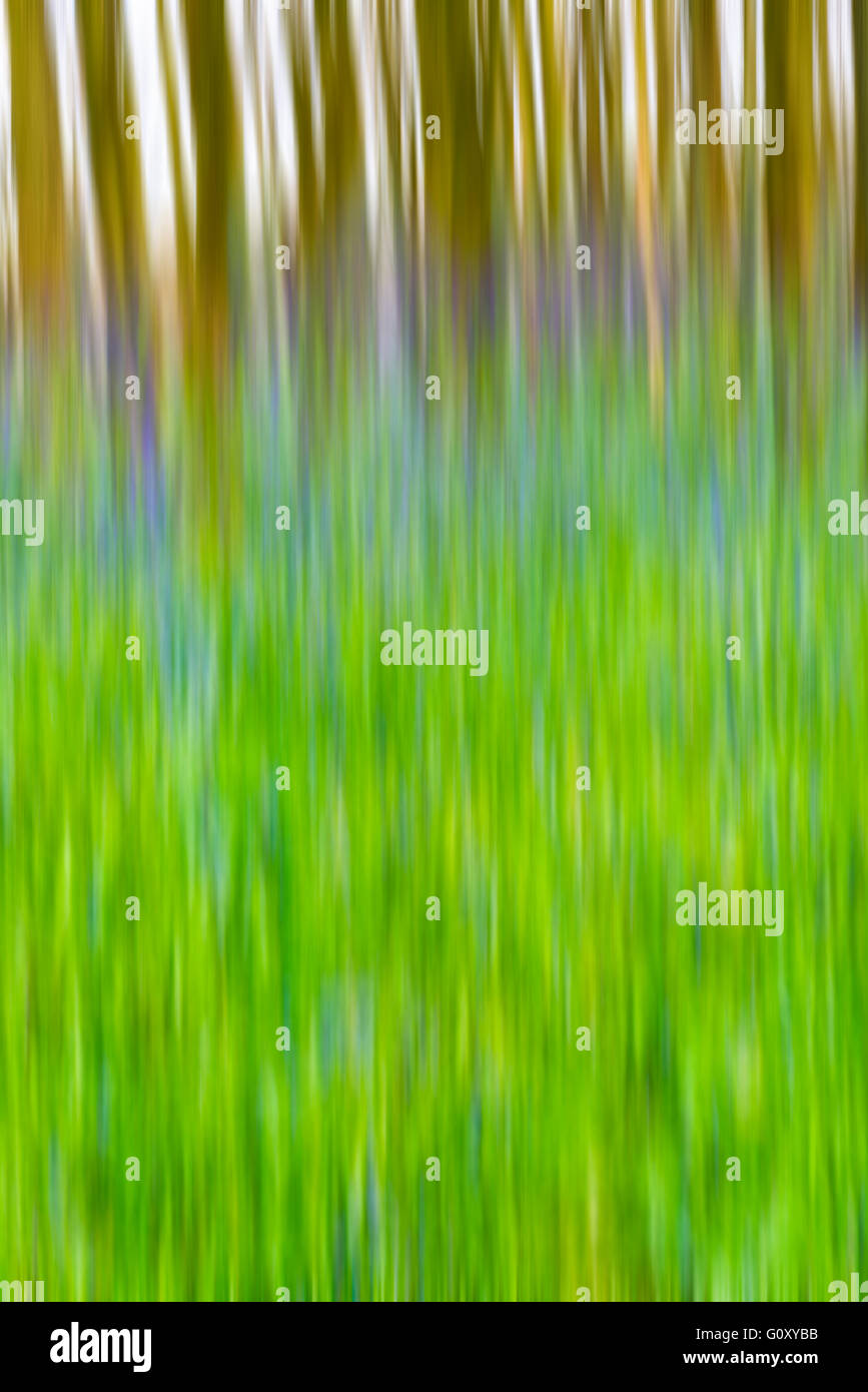 Abstract out of focus landscape of a spring forest Stock Photo - Alamy