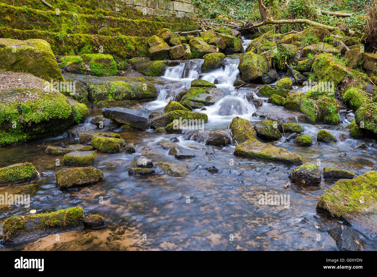 Lumsdale waterfall in matlock uk hi-res stock photography and images ...