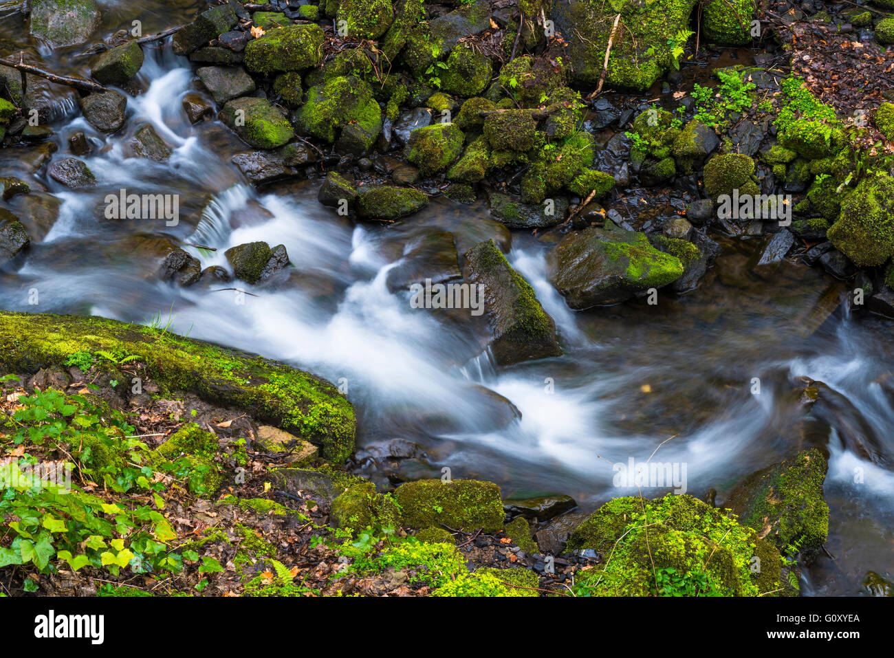 Lumsdale waterfall in matlock uk hi-res stock photography and images ...