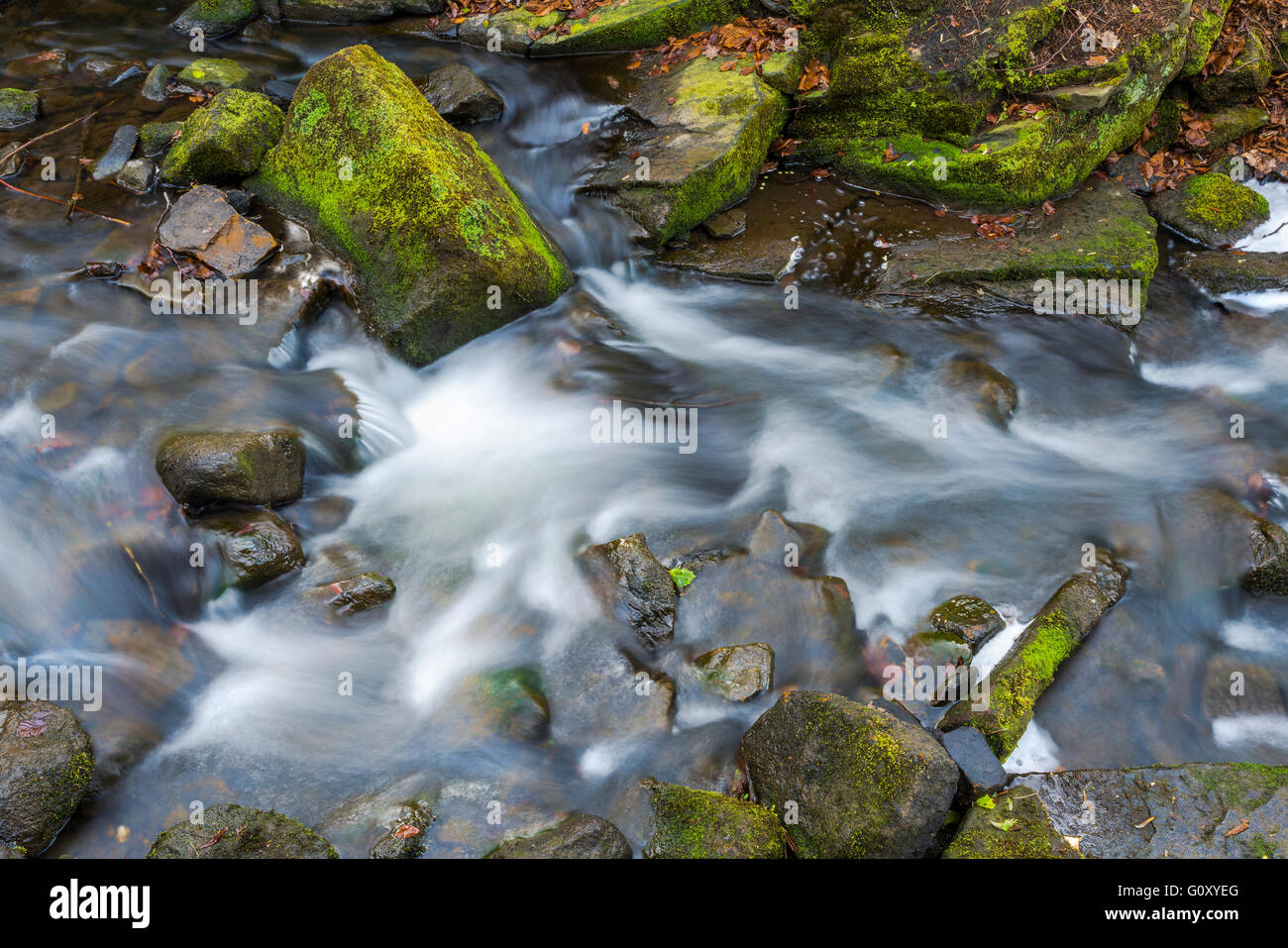 Lumsdale waterfall in Matlock, UK Stock Photo - Alamy