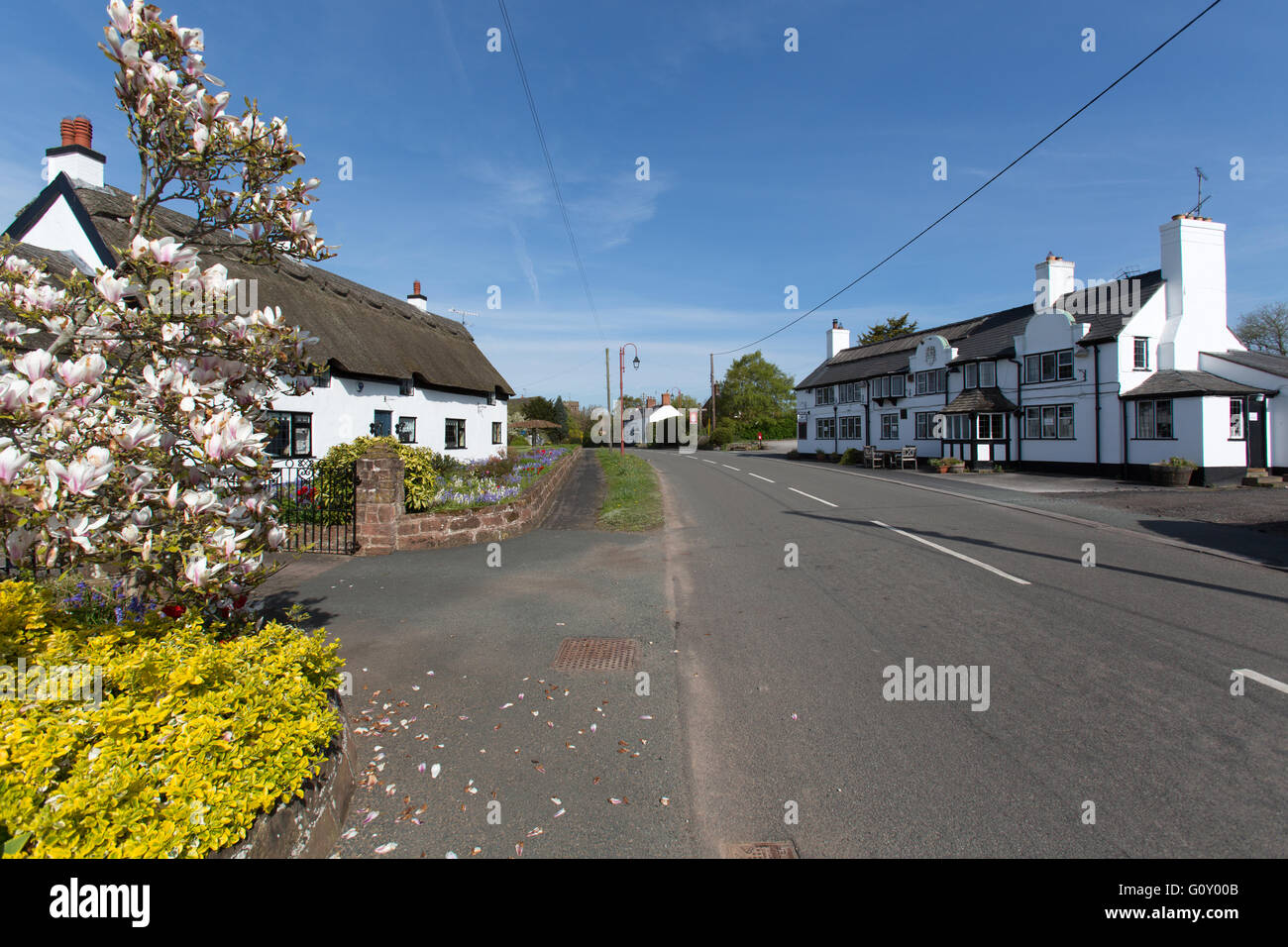 Village of Handley, England. Picturesque spring view of Handley’s main ...