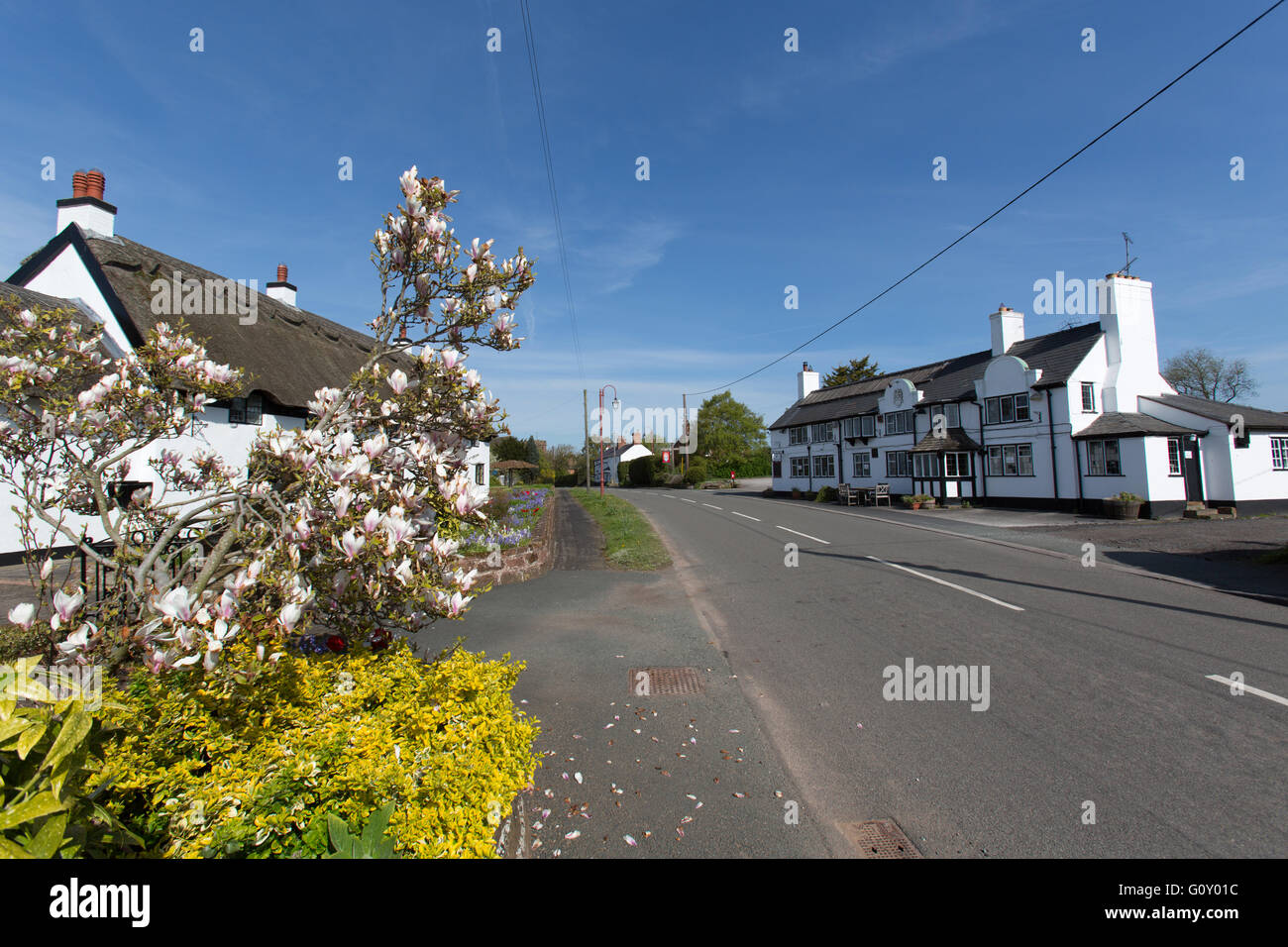 Village of Handley, England. Picturesque spring view of Handley’s main ...