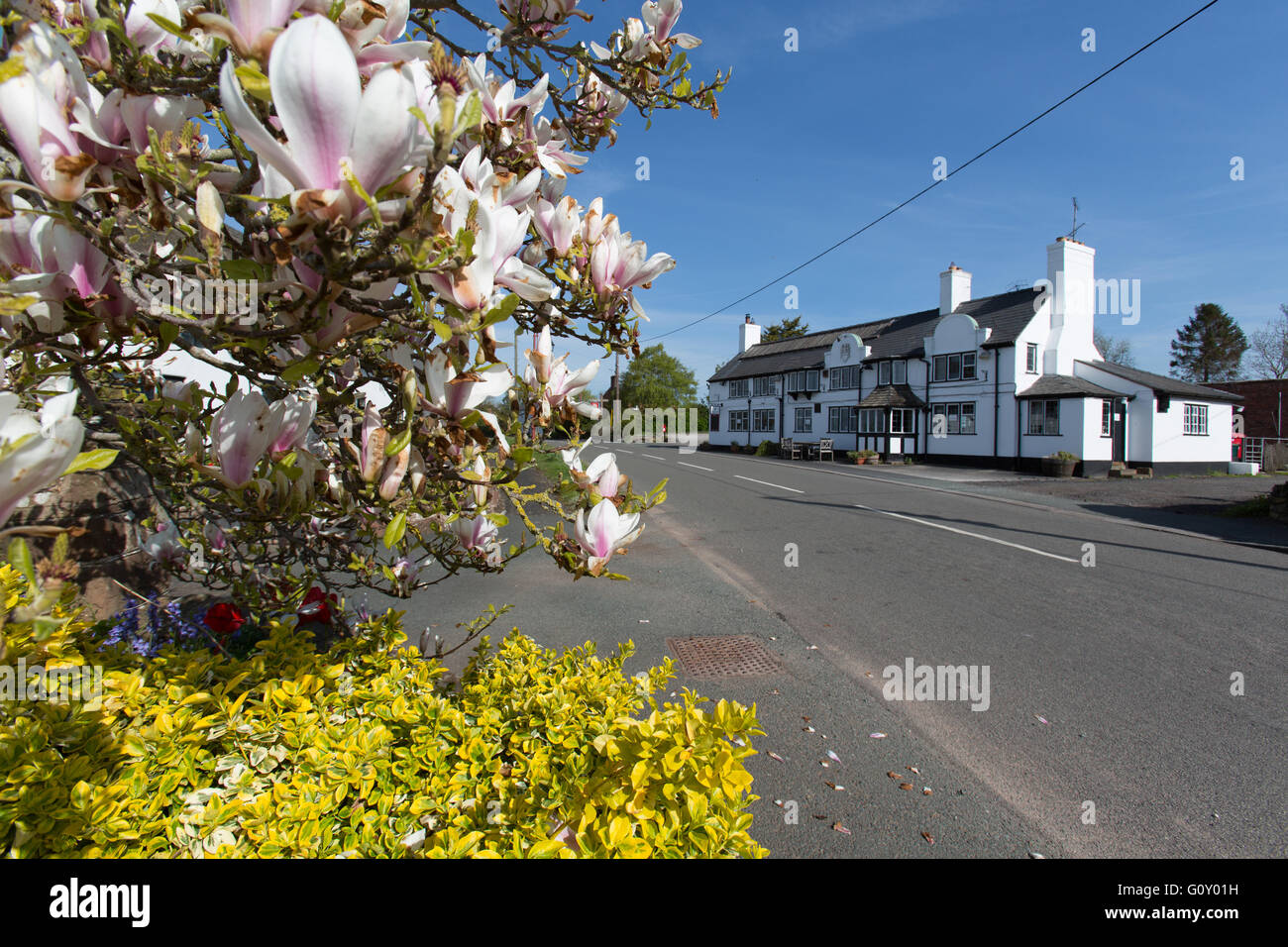 Village of Handley, England. Picturesque spring view of Handley’s main ...