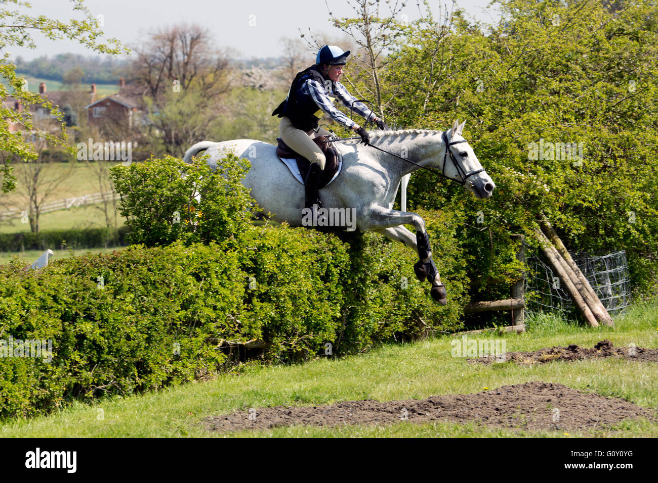 Horse jumping hedge hi-res stock photography and images - Alamy