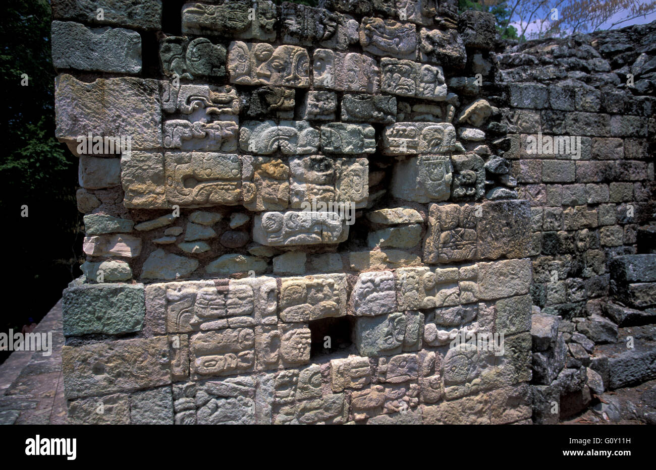 Stone bas Relief in Copan Ruins, an archaeological site of the Maya civilization in Copan ...