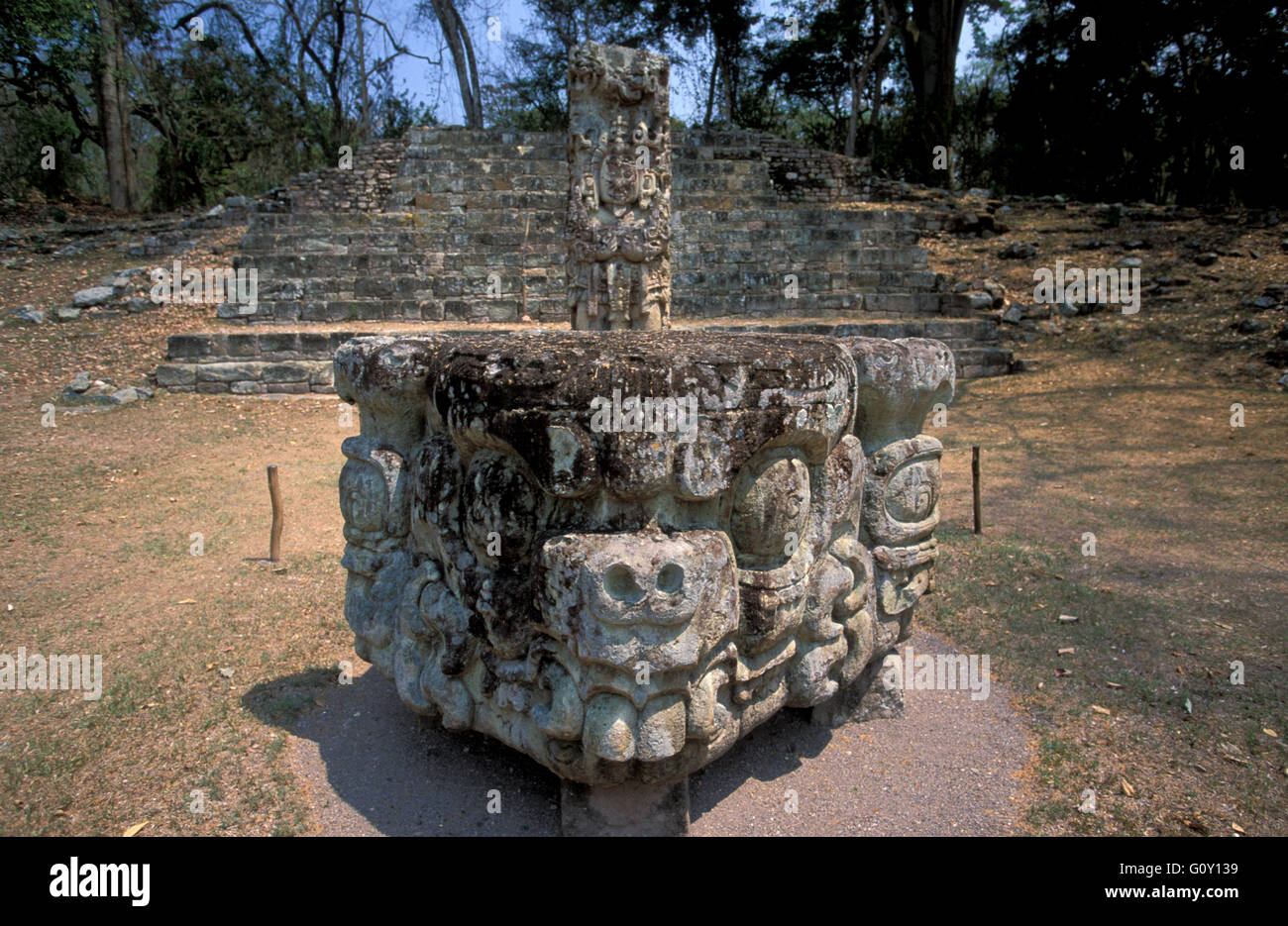 Stela D, 18 Rabbit's final stela and its Zoomorphic "altar", Copan ...
