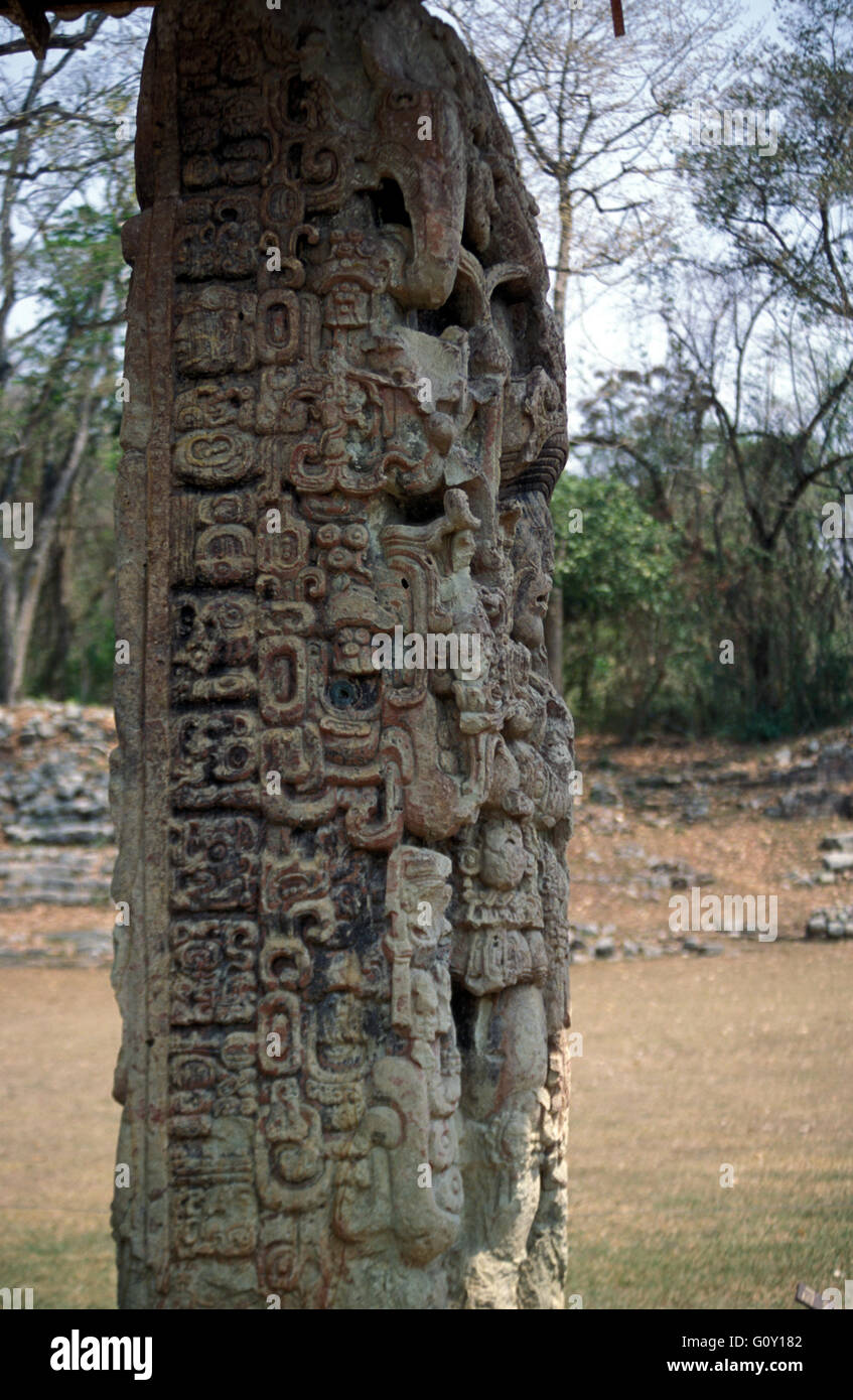 Stela D Copan Ruins, an archaeological site of the Maya civilization in ...