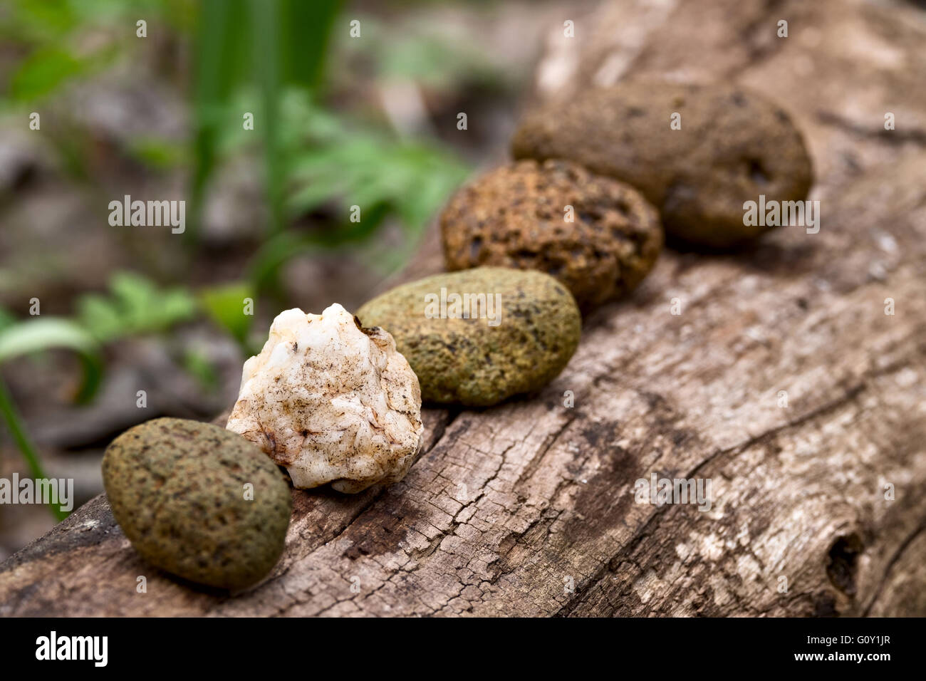 Row of pebbles hi-res stock photography and images - Alamy