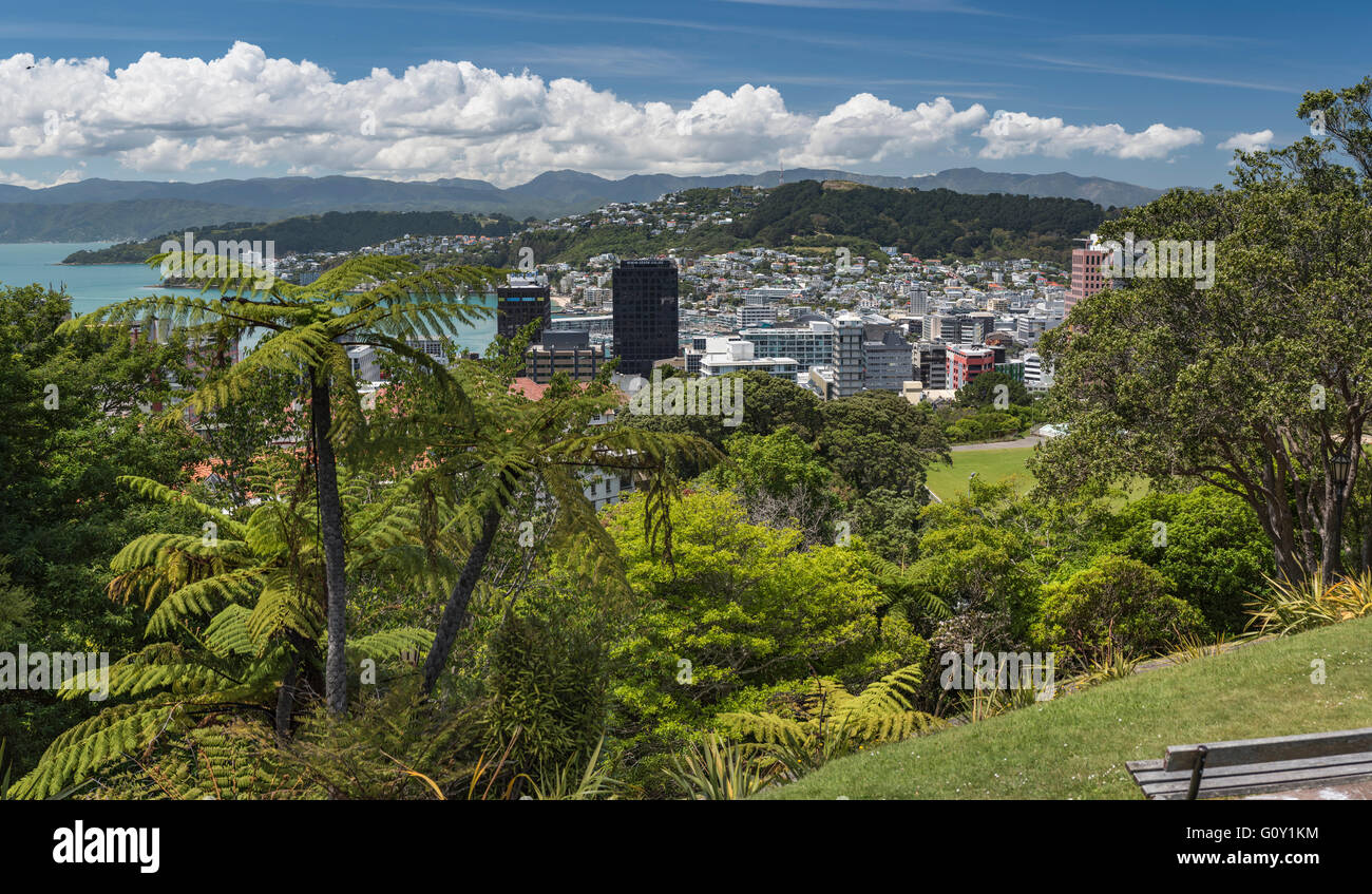 Wellington Skyline from the Botanical Gardens, New Zealand Stock Photo ...