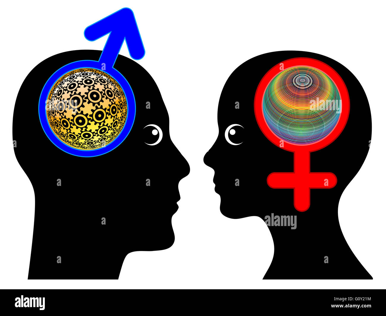 Male and Female Brains are different Stock Photo - Alamy