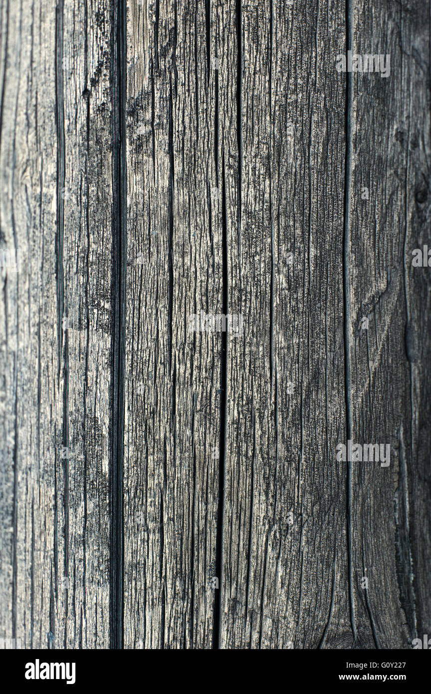 Gray old timbered wooden log vertical background Stock Photo - Alamy
