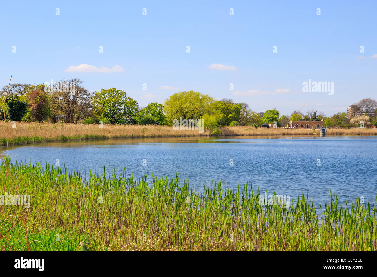 Woodberry wetlands nature reserve at Woodberry Down in London on a ...
