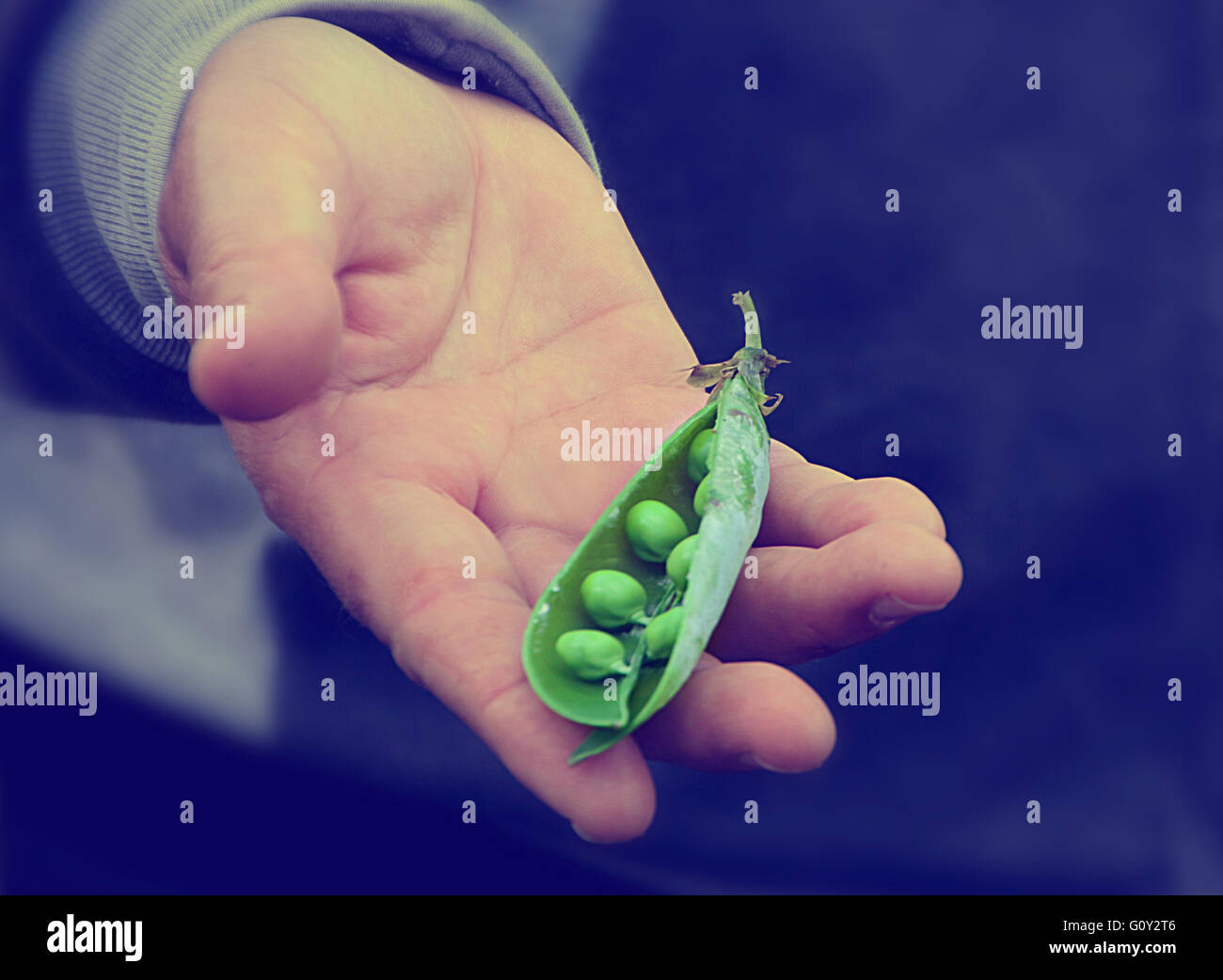 Holding pea hi-res stock photography and images - Alamy