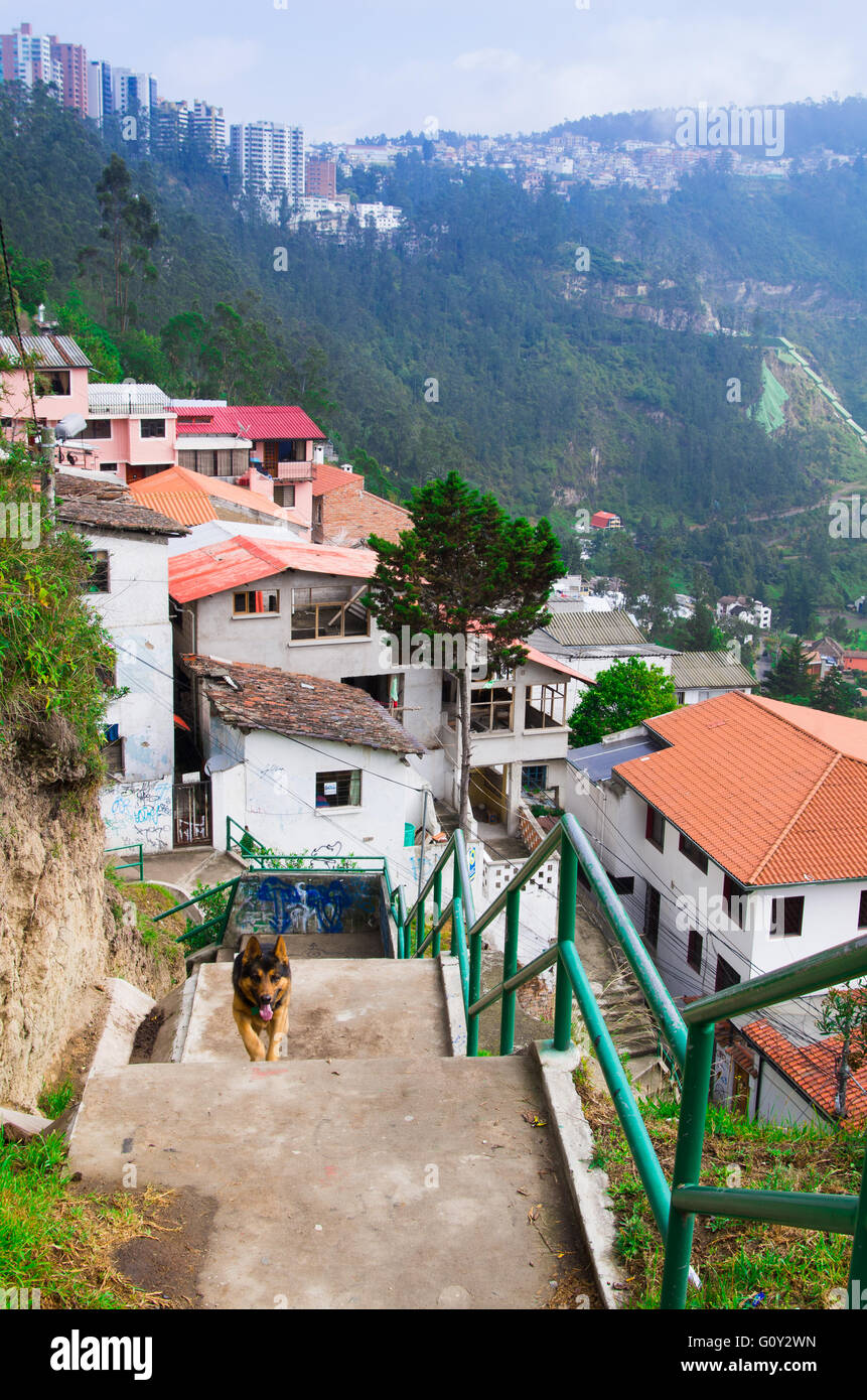 Charming village of Guapolo in Quito Ecuador with houses built downward ...
