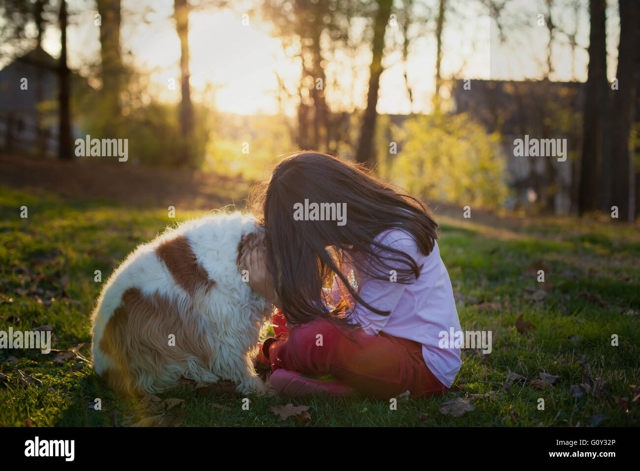 Dog nuzzling person hi-res stock photography and images - Alamy