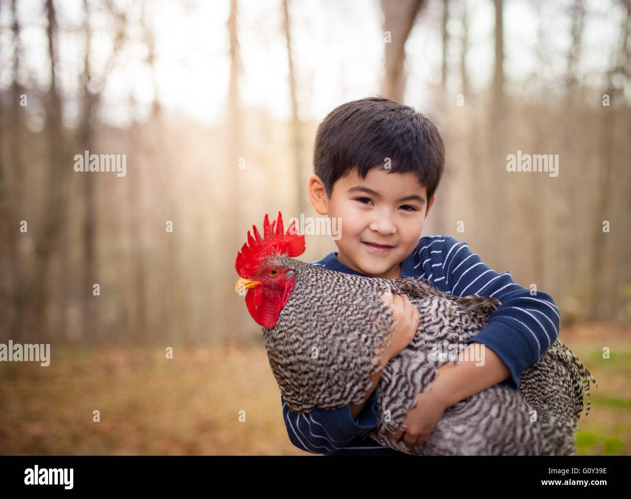 Boy holding rooster hi-res stock photography and images - Alamy