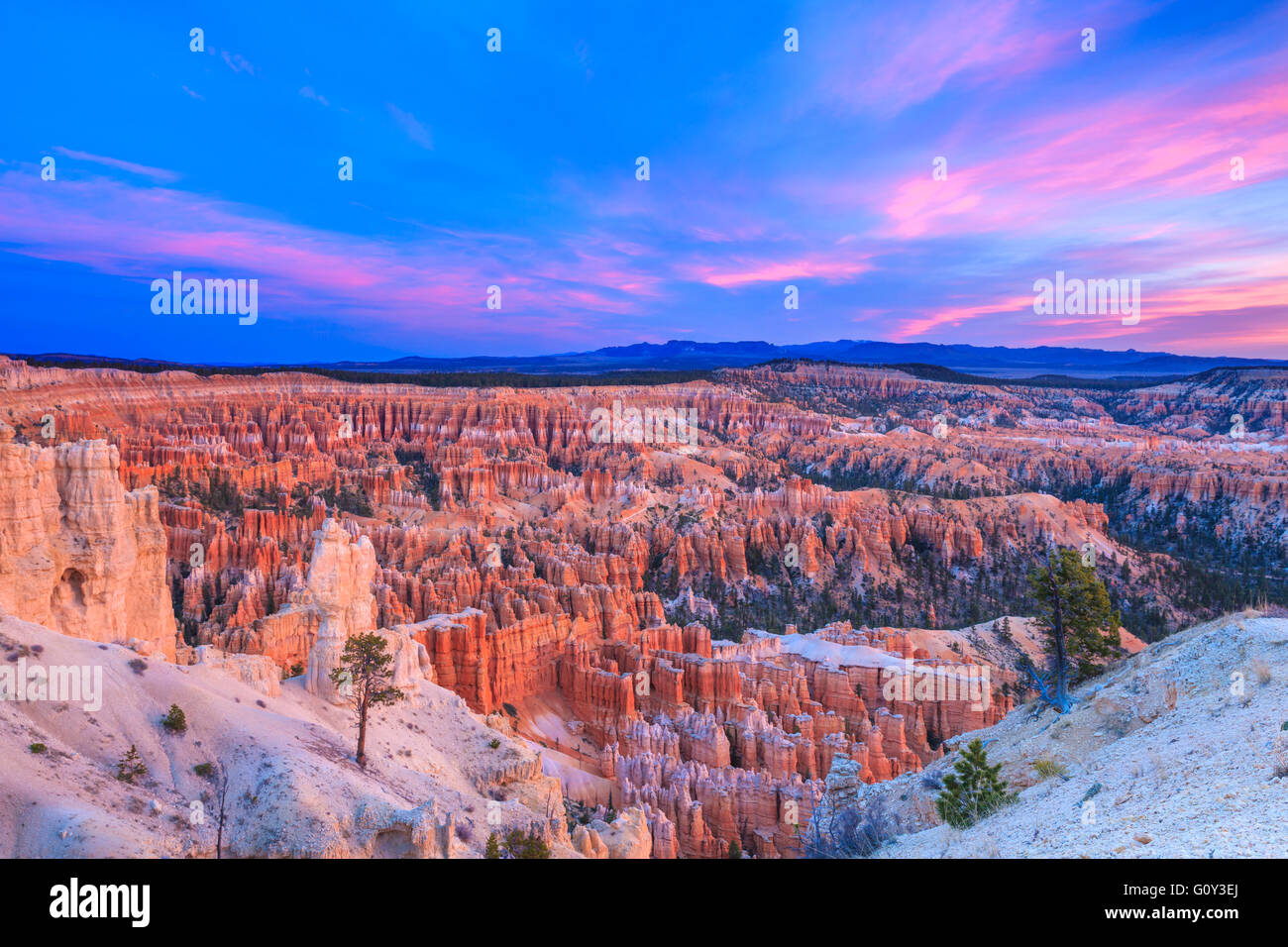 sunrise over hoodoos viewed from trail below bryce point in bryce ...