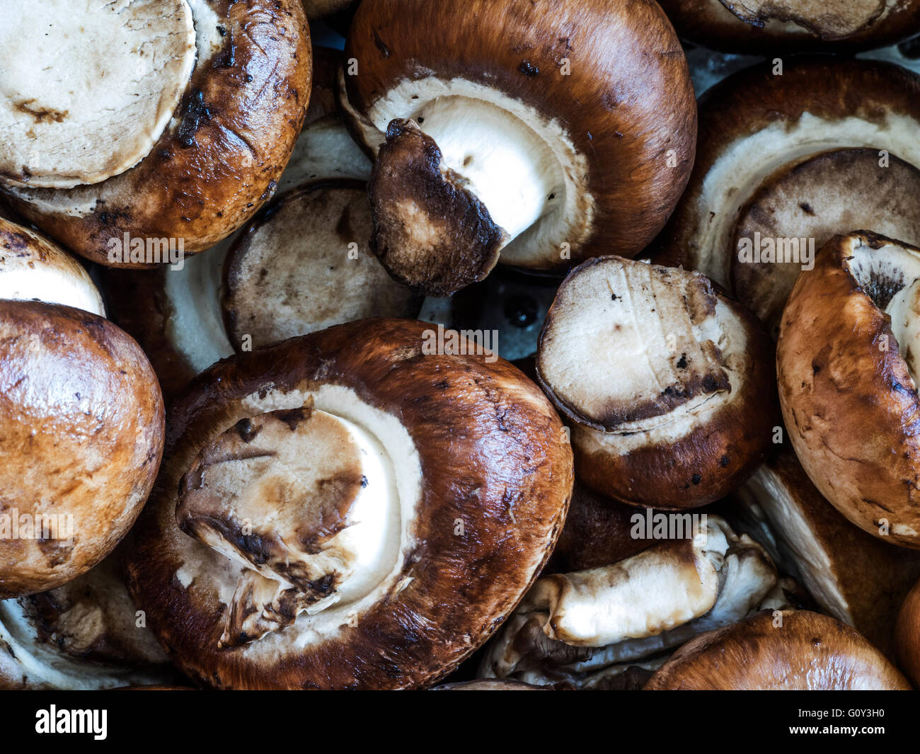 Close-up of raw mushrooms Stock Photo - Alamy