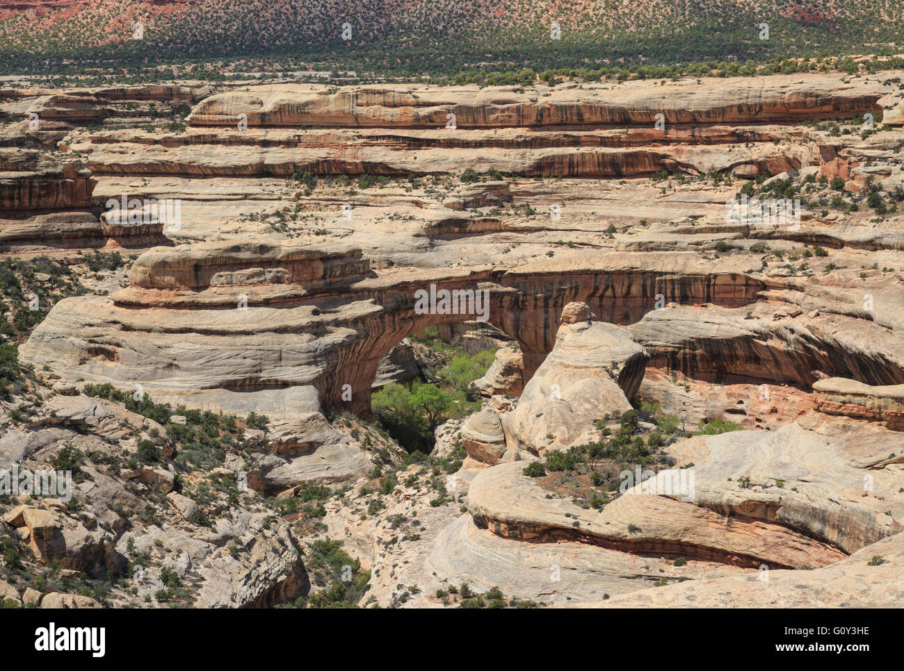 sipapu bridge in natural bridges national monument, utah Stock Photo ...