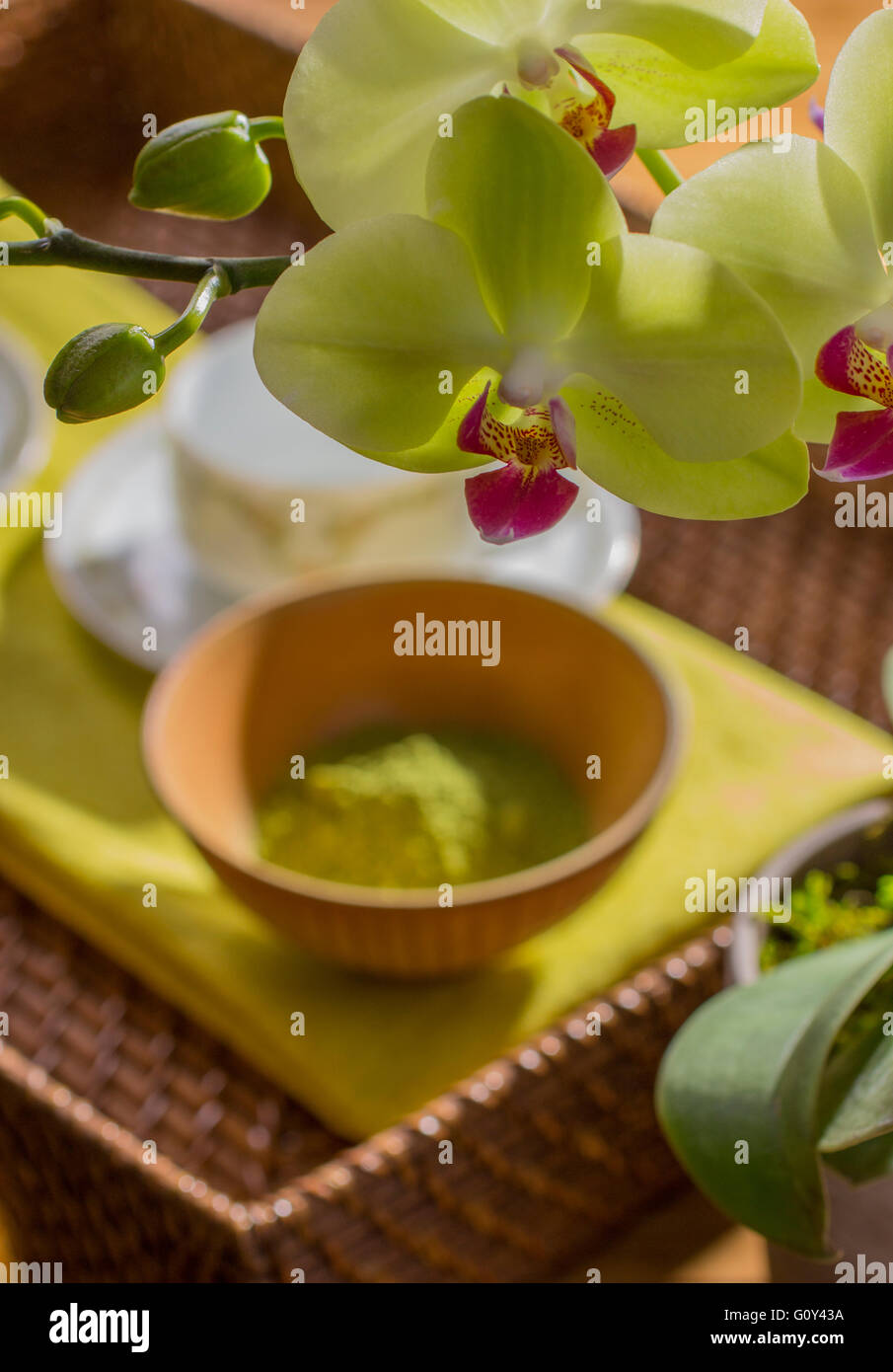 Orchids Background High Resolution Stock Photography and Images - Alamy