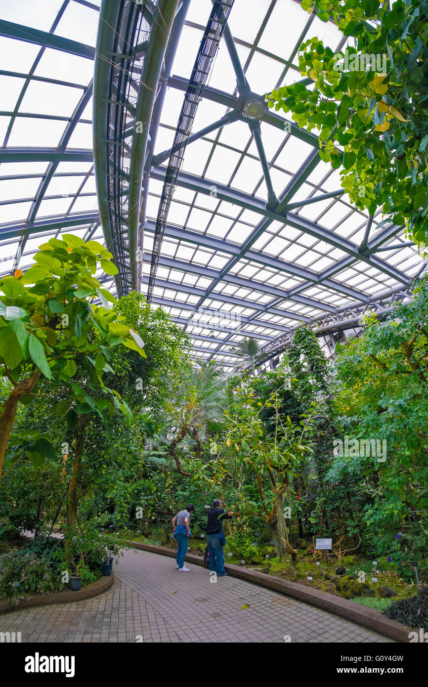 Botanical garden inside plants hi-res stock photography and images - Alamy