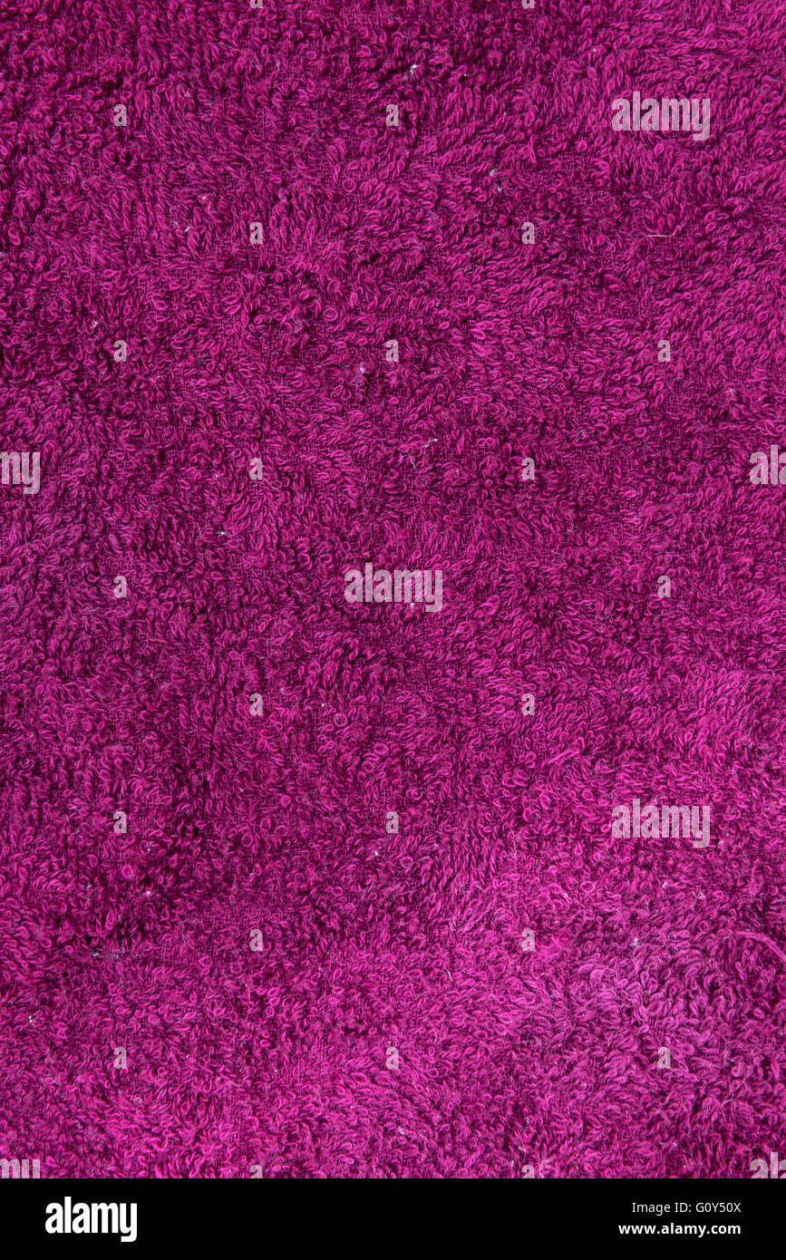 Violet color carpet texture Stock Photo - Alamy
