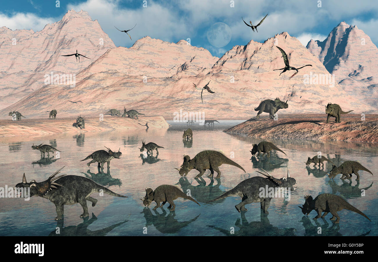 A Mixed Herd Of Centrosaurs & Styracosaurus Dinosaurs Stock Photo - Alamy