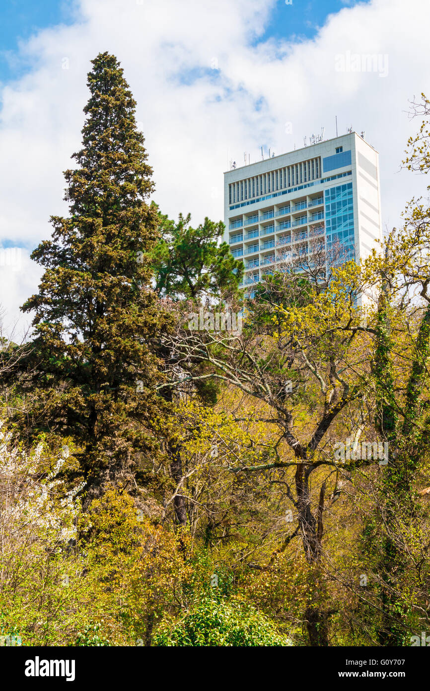 High rise building forest hi-res stock photography and images - Alamy