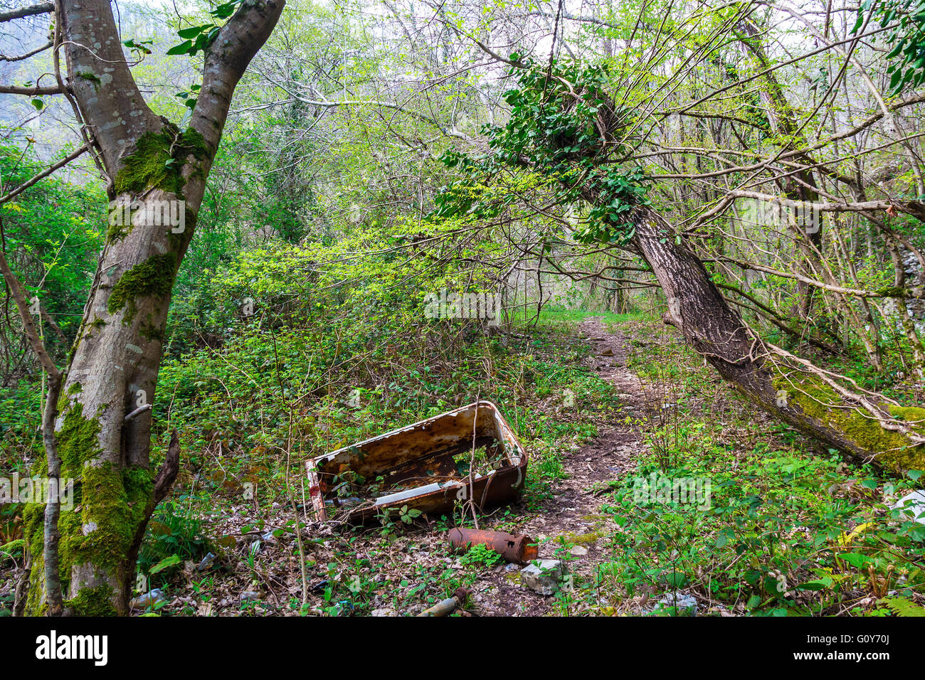 Rusty scrap metal behind two trees on forest trail Stock Photo - Alamy