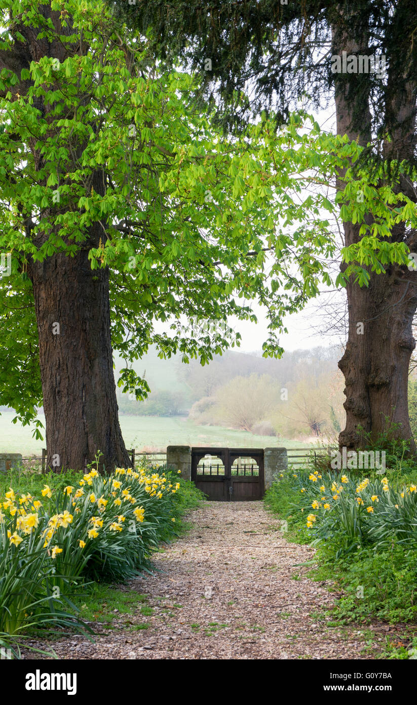 Churches uk april flowers hi-res stock photography and images - Alamy