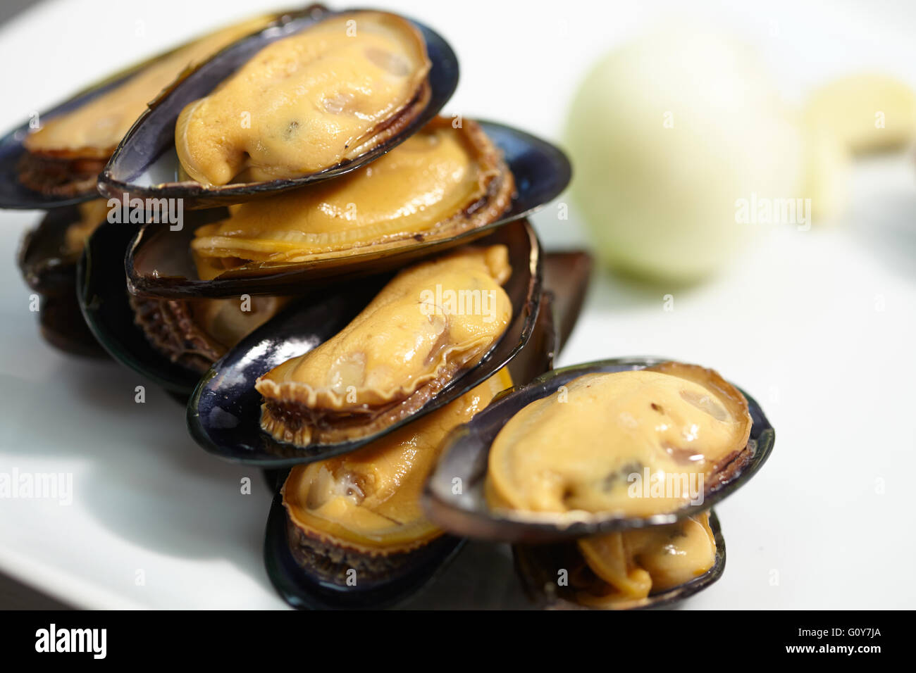 Fresh green lipped mussels hi-res stock photography and images - Alamy