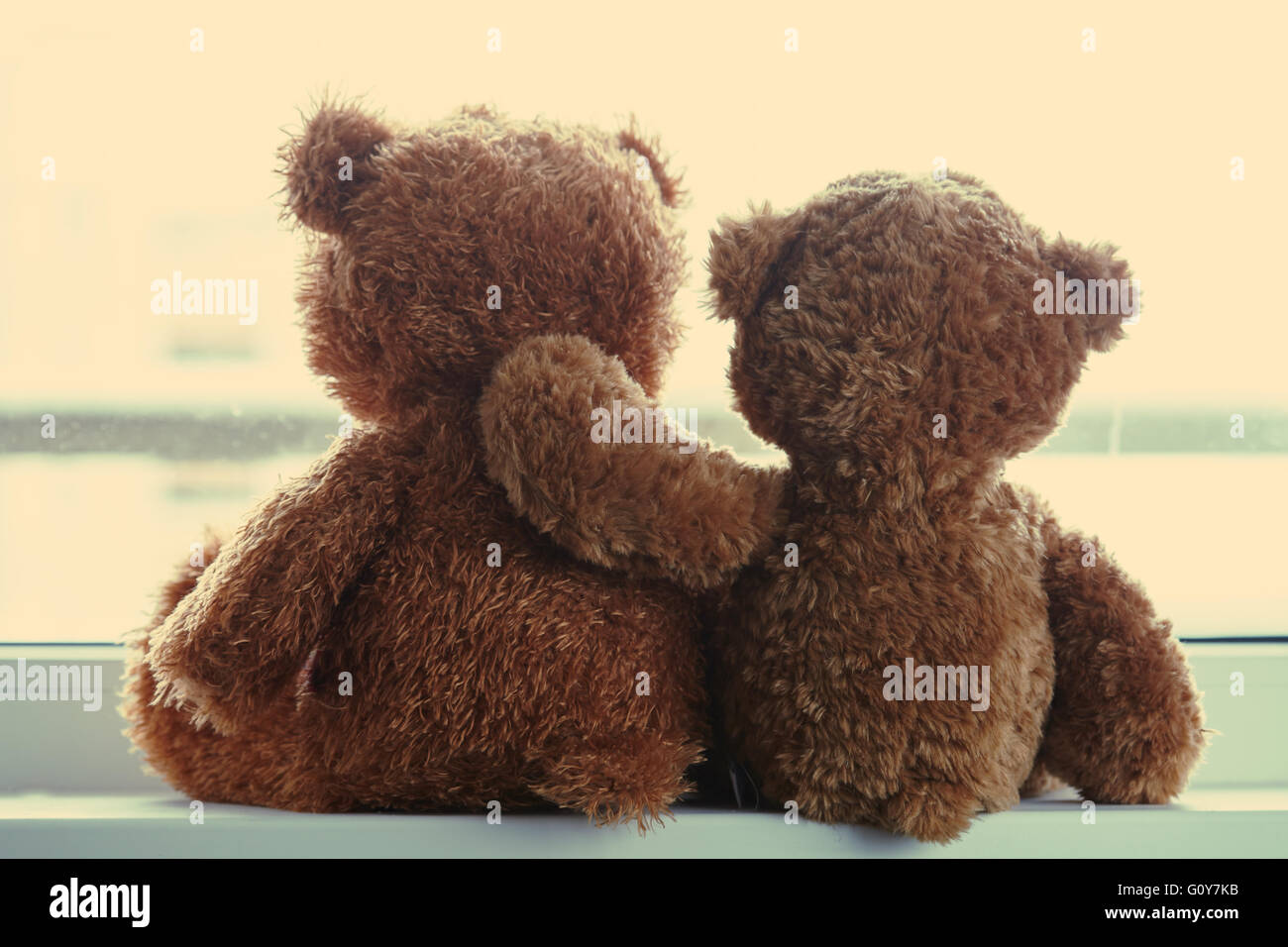 Two teddy bears sitting back Stock Photo - Alamy