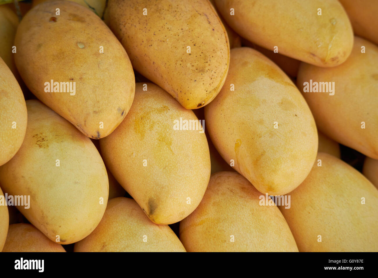 yellow mango in Thailand Stock Photo - Alamy