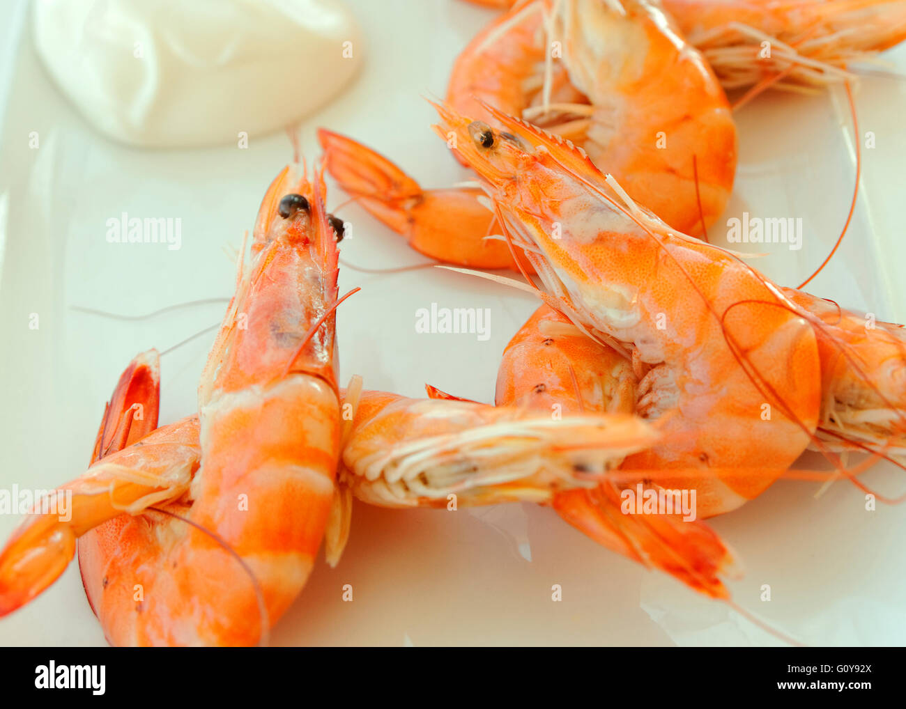COOKED SPANISH PRAWNS FOR LUNCH Stock Photo - Alamy