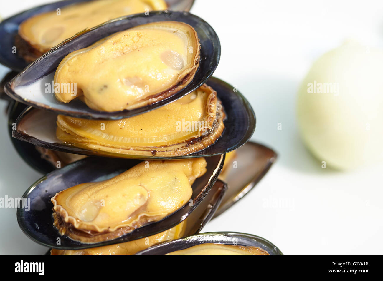Fresh green lipped mussels hi-res stock photography and images - Alamy