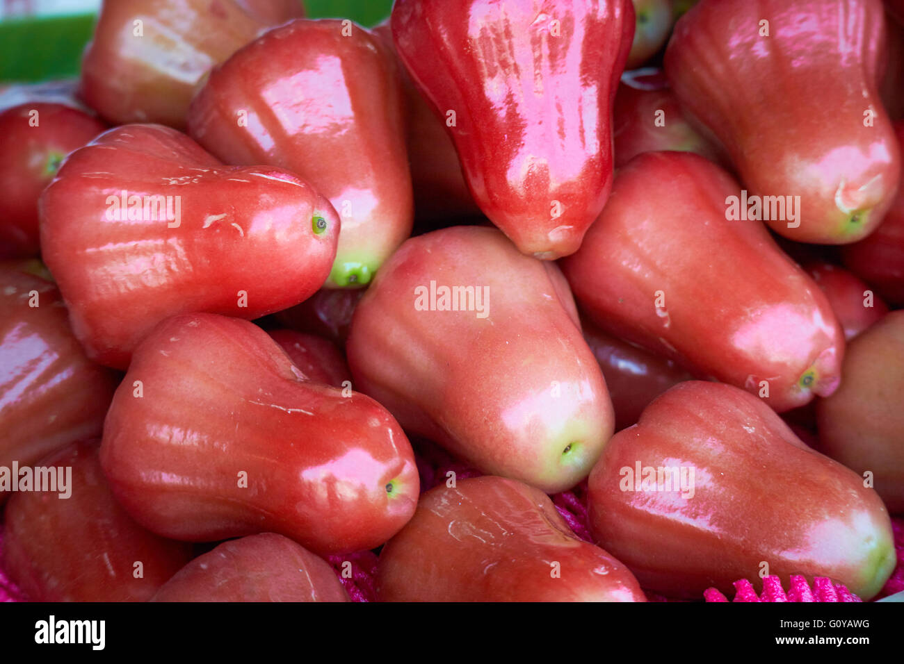 Chompu hi-res stock photography and images - Alamy