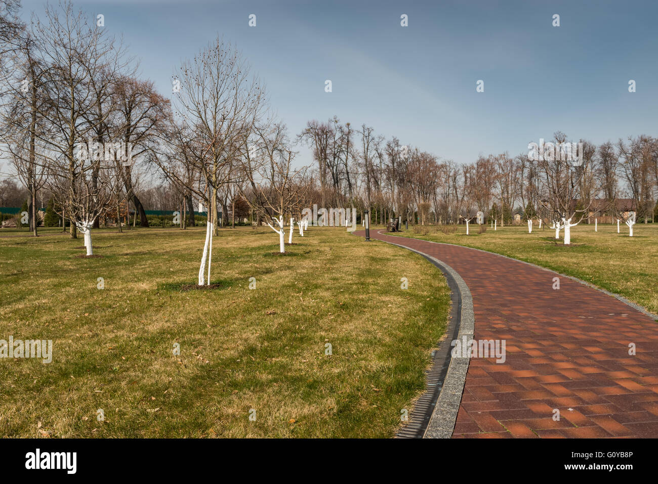 Orchard plants hi-res stock photography and images - Alamy