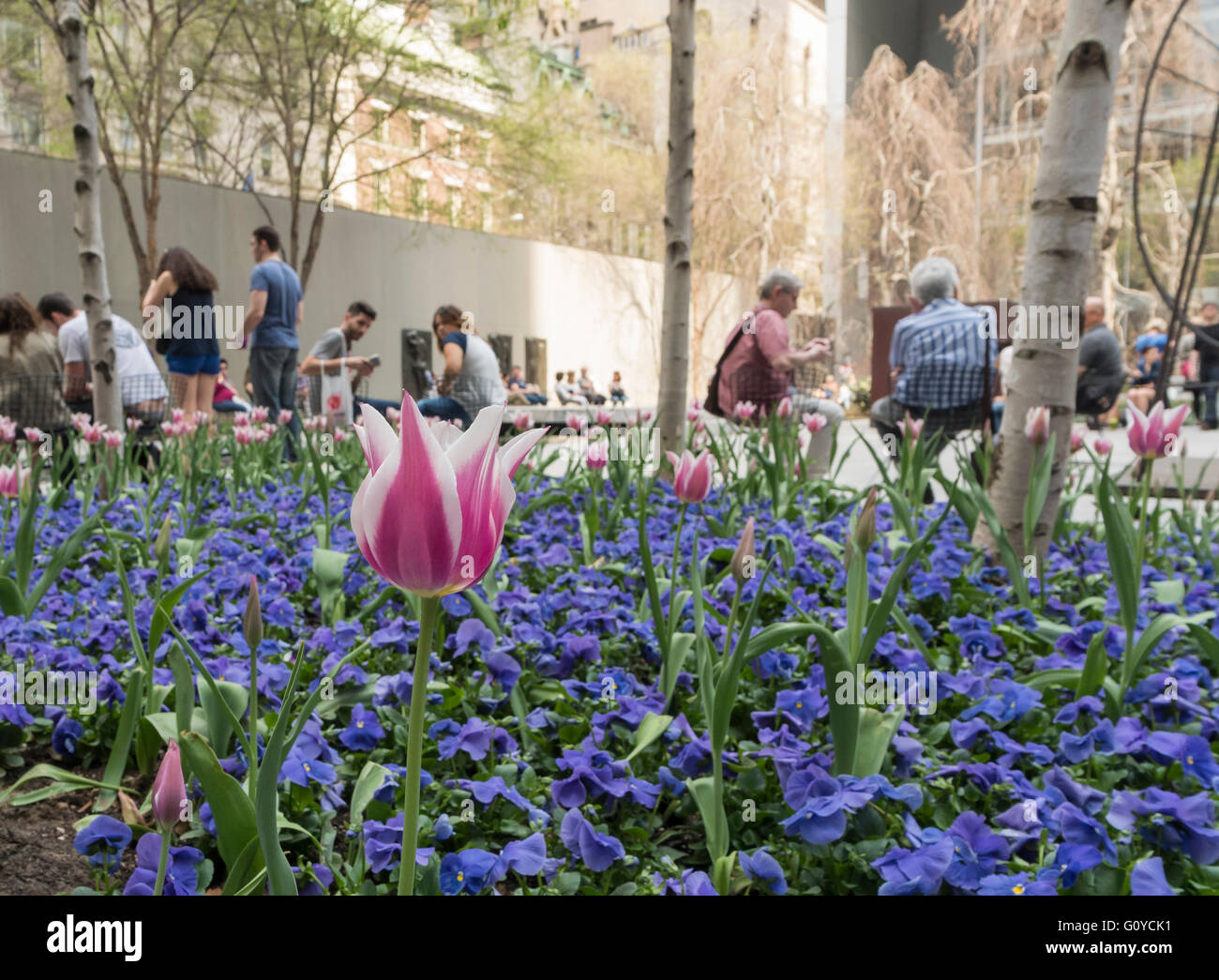 Moma sculptures new york hi-res stock photography and images - Alamy