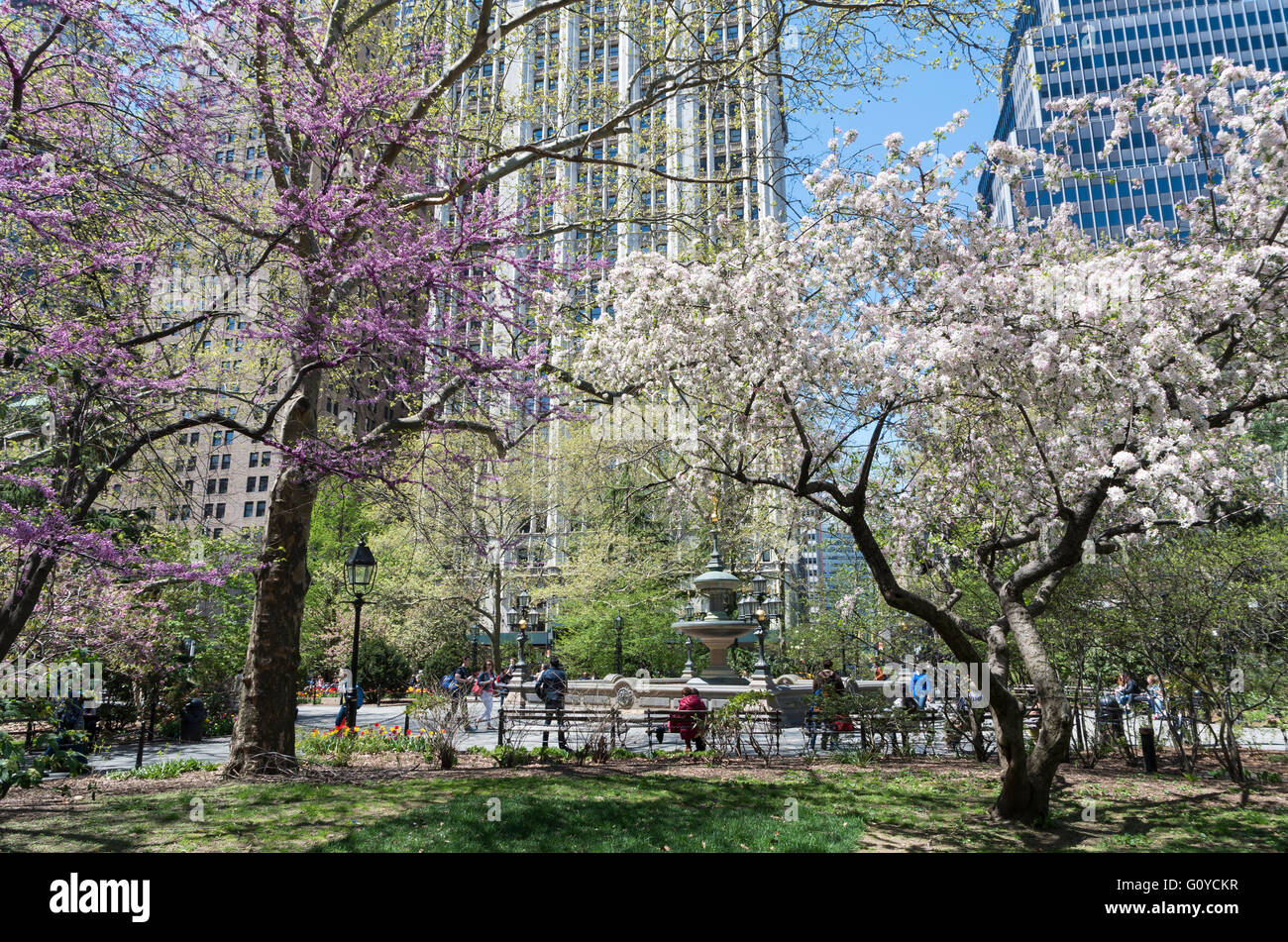 Park manhattan grass lawn spring hi-res stock photography and images ...