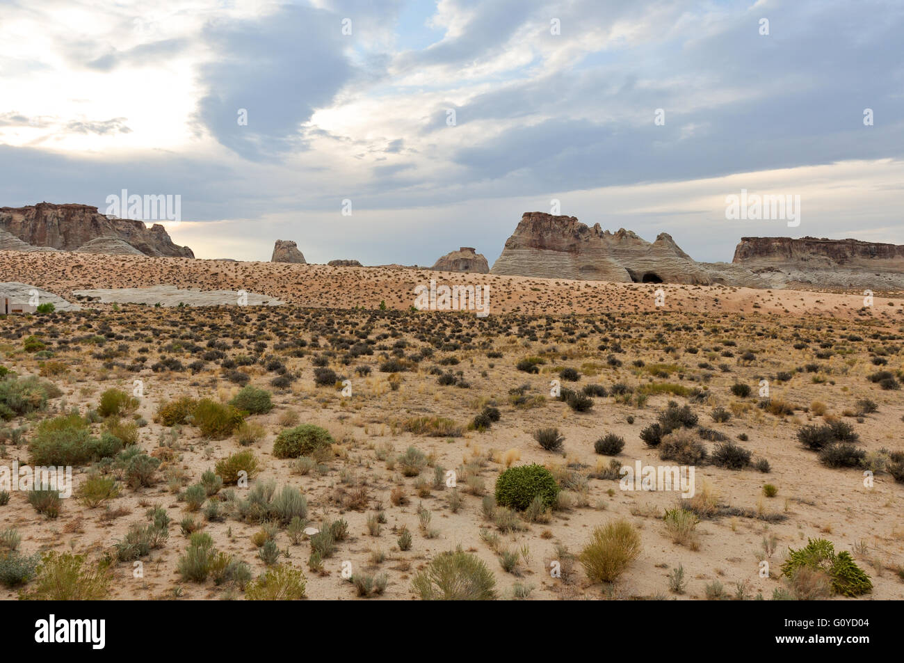 Desert landscape with different types of topography, desert and ...