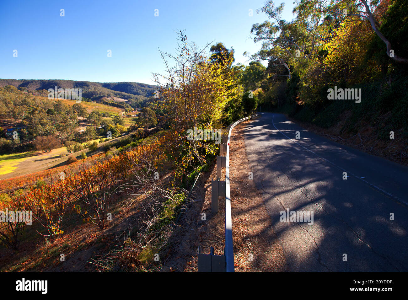 Autumn adelaide hills mt lofty hi-res stock photography and images - Alamy