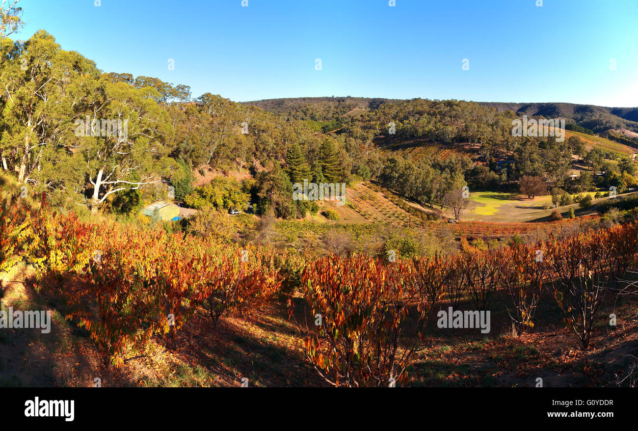 Autumn Adelaide Hills Mt Lofty Ranges South Australia Australian Stock ...