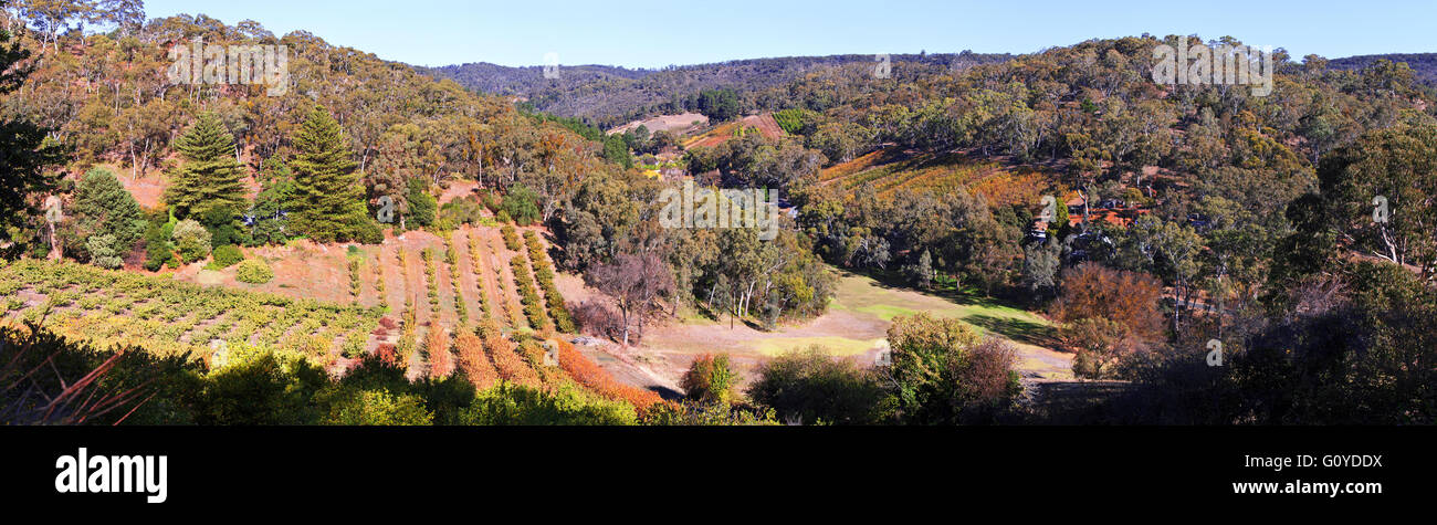 Montacute australia hi-res stock photography and images - Alamy