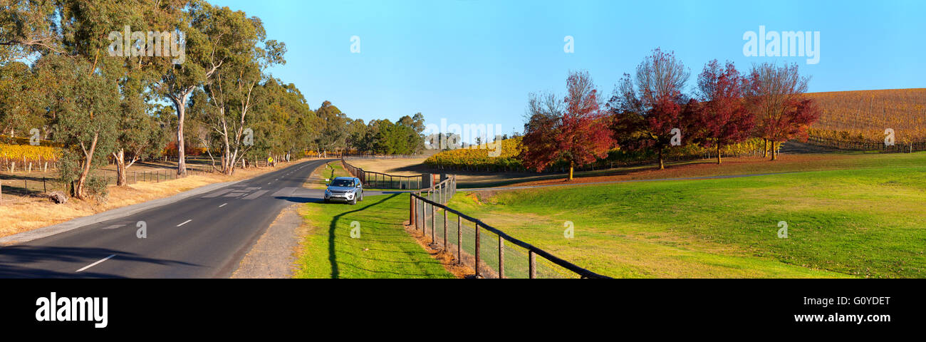 vines Shaw and Smith Winery landscape vineyard countryside rural sunny ...