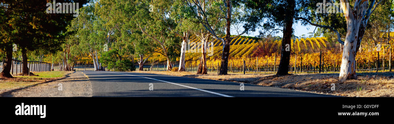 Autumn Adelaide Hills Mt Lofty Ranges South Australia Australian Stock ...