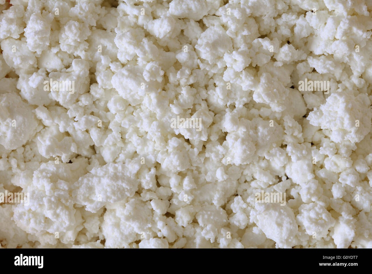 cottage cheese, curd cheese, raw curd, cottage cheese background ...