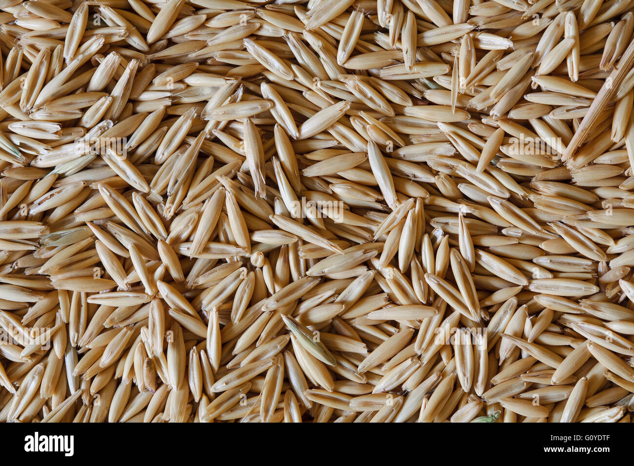 Pile oat grain hi-res stock photography and images - Alamy